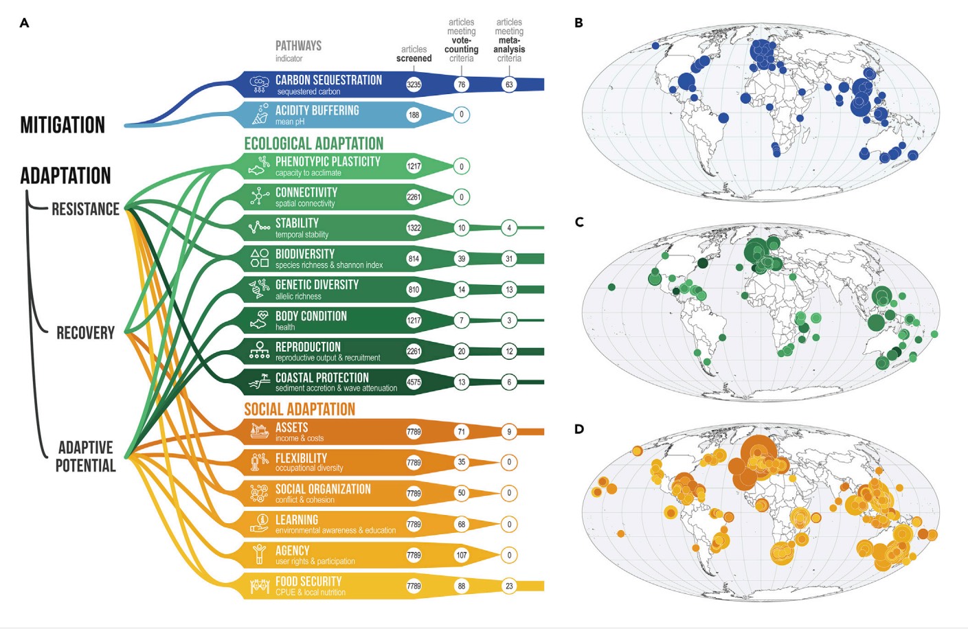 Xuechan Ma | “If you can’t explain it simply, you don’t understand it well enough.”